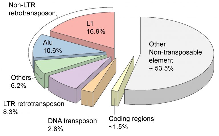 RESEARCH – Liu Lab